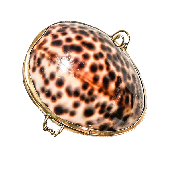 Seashell Lip Balms + Botanical Perfumes - Earth Tu Face