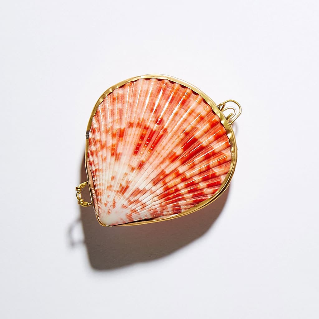 Seashell Lip Balms + Botanical Perfumes - Earth Tu Face